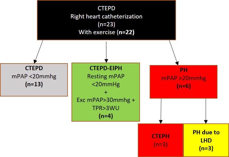 Pulmonary hemodynamics at rest and during exercise in patients with ...